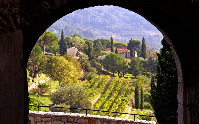 The 5 Best Wineries in Provence - Vin, Vin, and More Incredible Vin